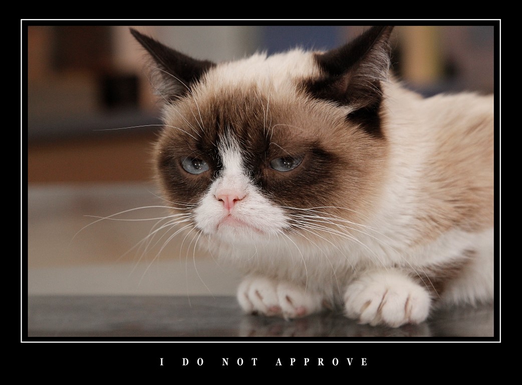 LARGE FUNNY DEMOTIVATIONAL GRUMPY CAT LARGE WALL ART PHOTO PRINT ...